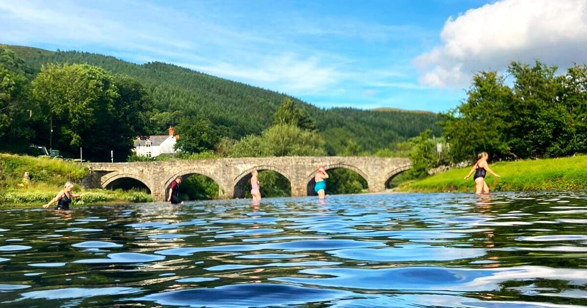 All about.....Idris | The Forge